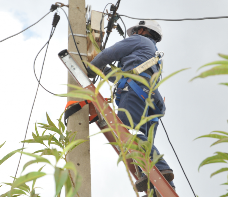 Customer service - Distribution