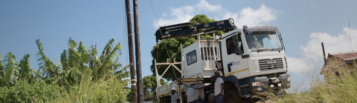 Customer service - Distribution