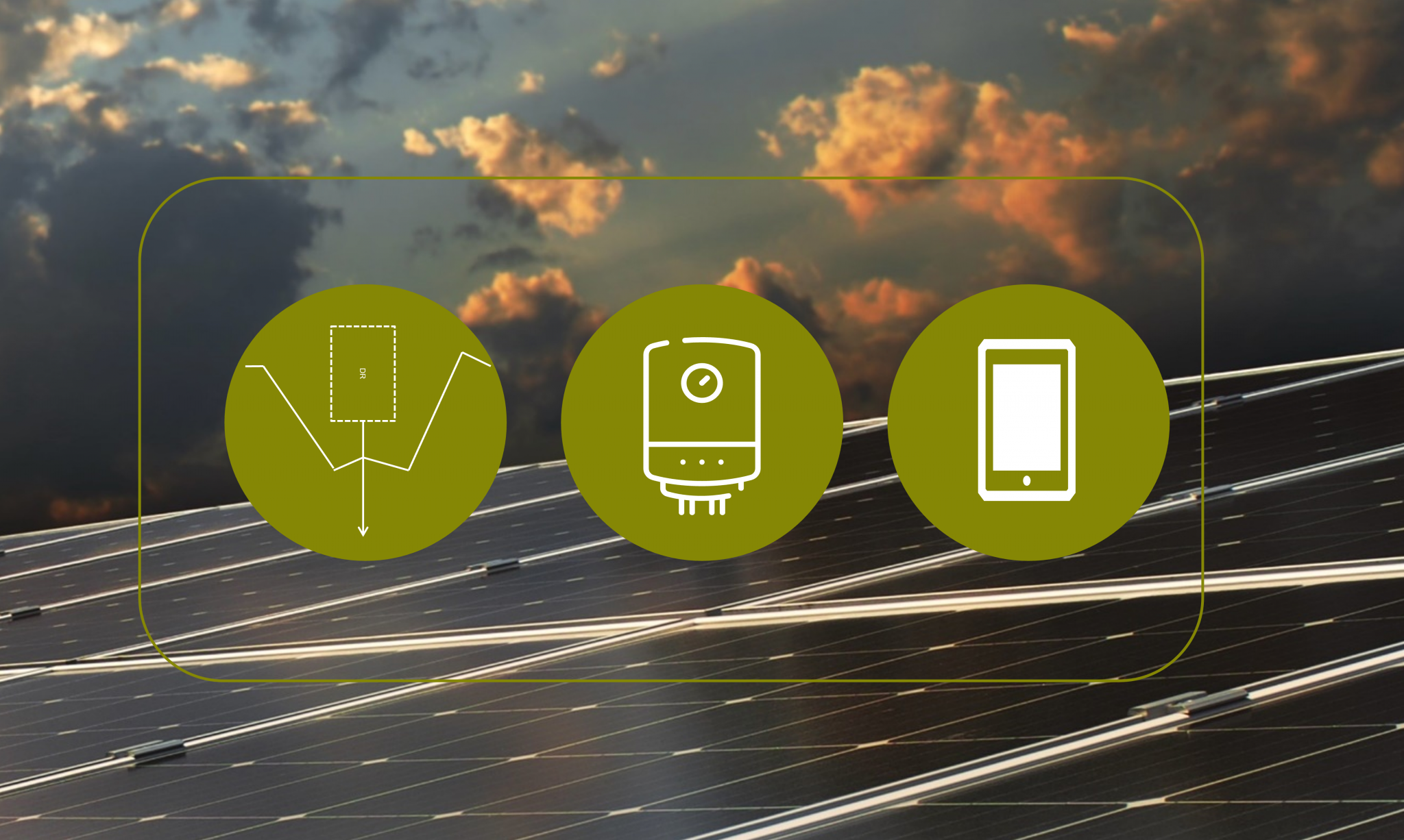 Demand Management Programme - Distribution