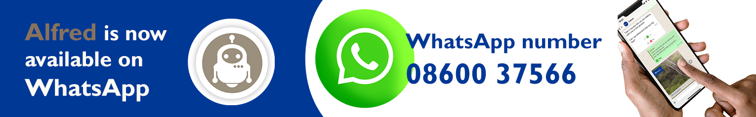 Alfred Chat bot - Distribution