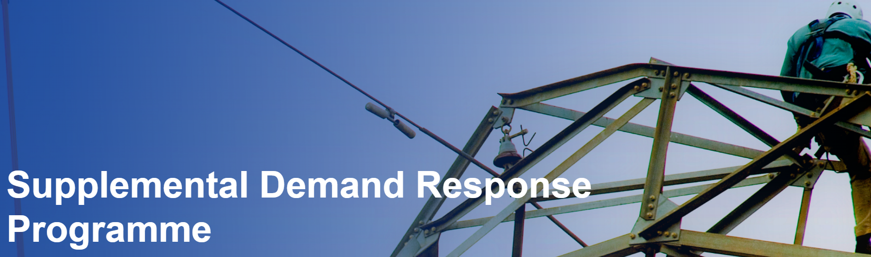 Supplemental Demand Response Programme - Distribution