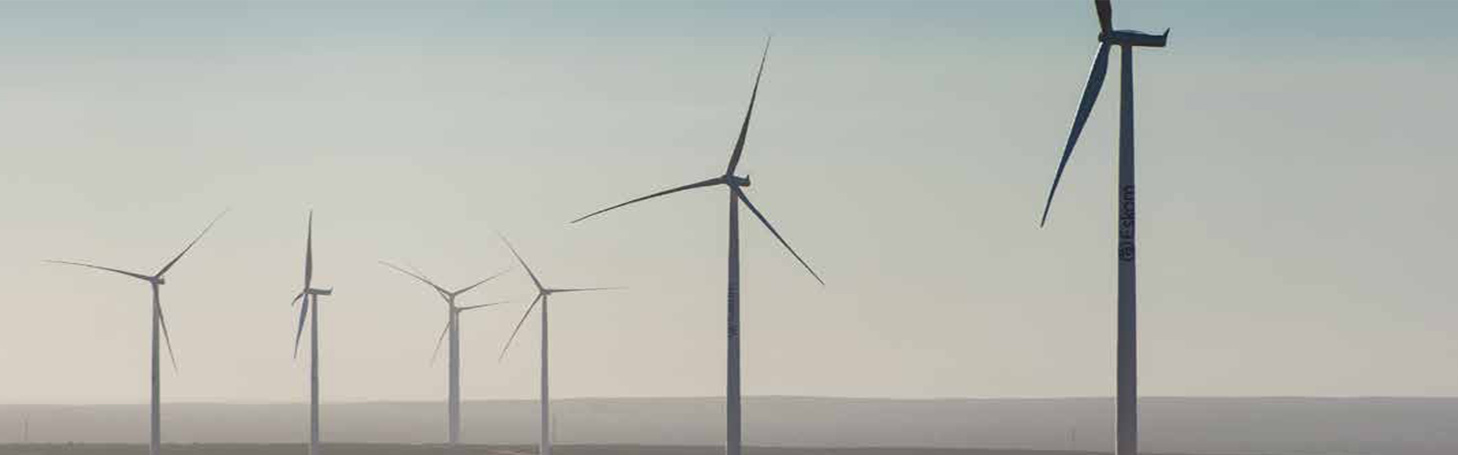 Renewable energy - Energy Advisory Services