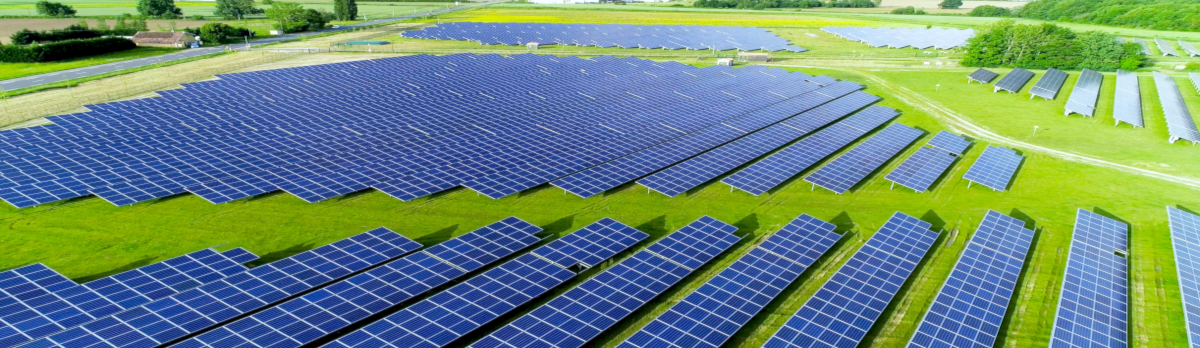 Independent Power Producer - Energy Advisory Services