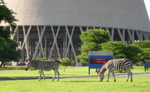 Kendal Power Station - Heritage