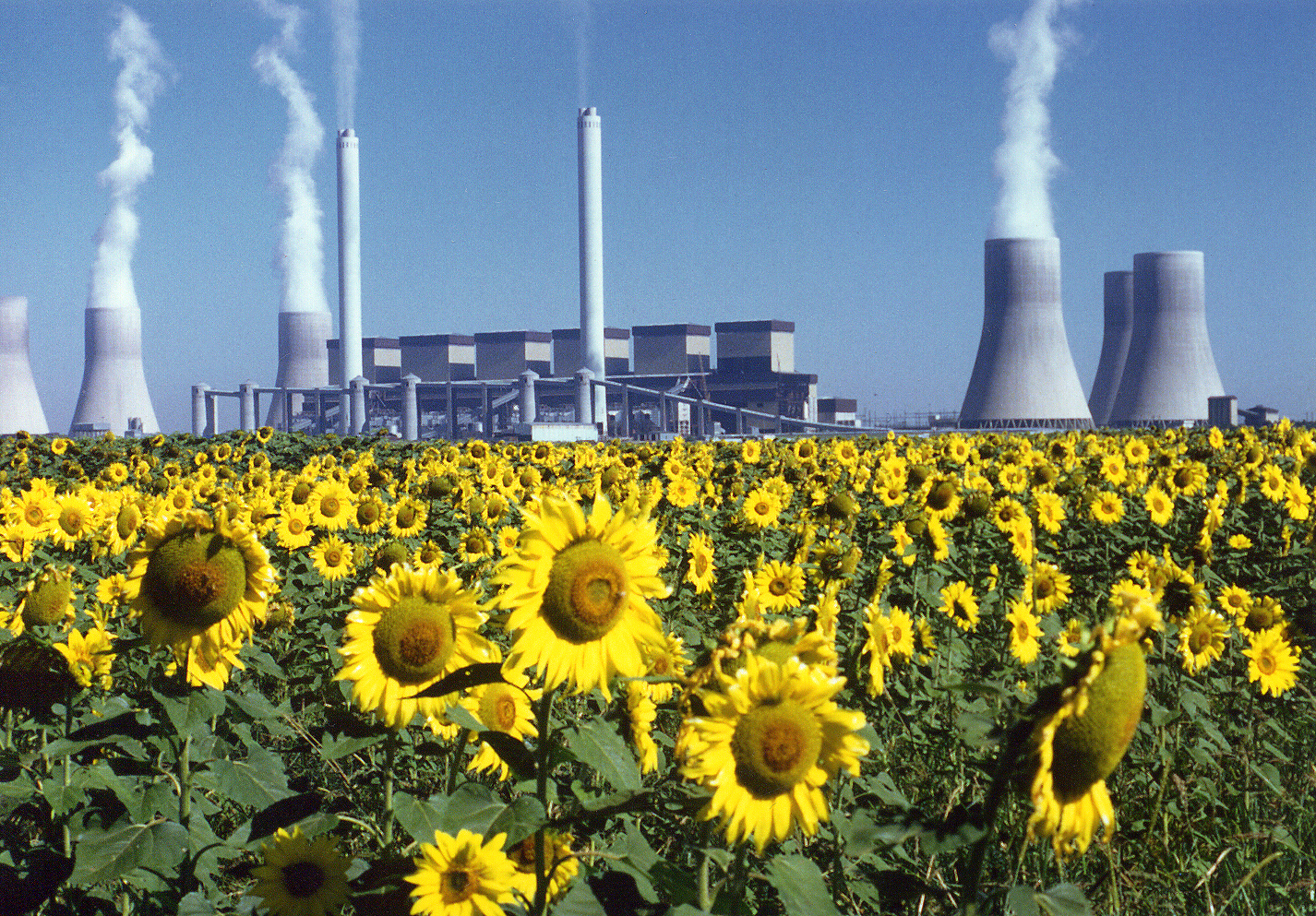 Tutuka Power Station - Heritage